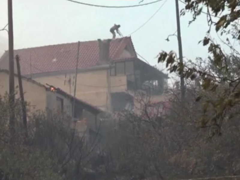 Φωτιά στη Φυλή: Ανέβηκε στα κεραμίδια με μάνικα για να σώσει το σπίτι του (Vid) | Alfavita
